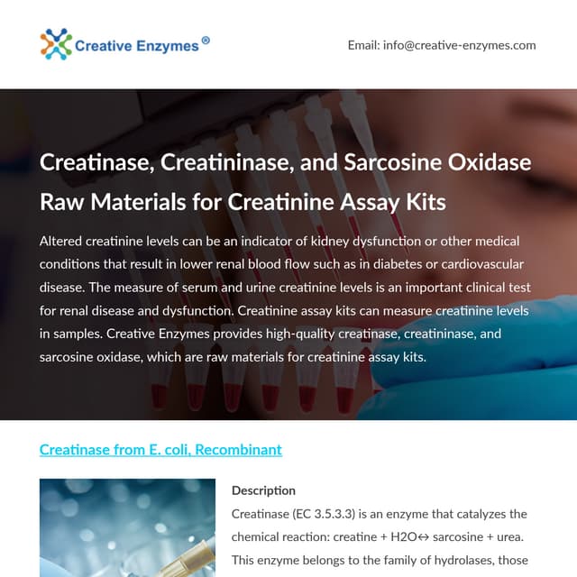 Creatinase, creatininase, sarcosine | PDF
