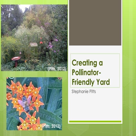Creating a pollinator friendly yard | PDF