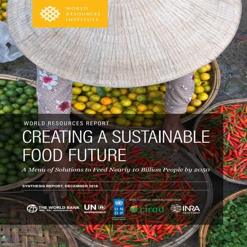 Creating a sustainable food future - World Resources Institute | PDF