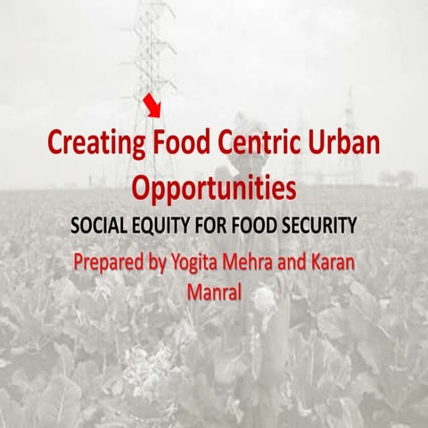 Creating food centric urban opportunities—Social equity for food ...