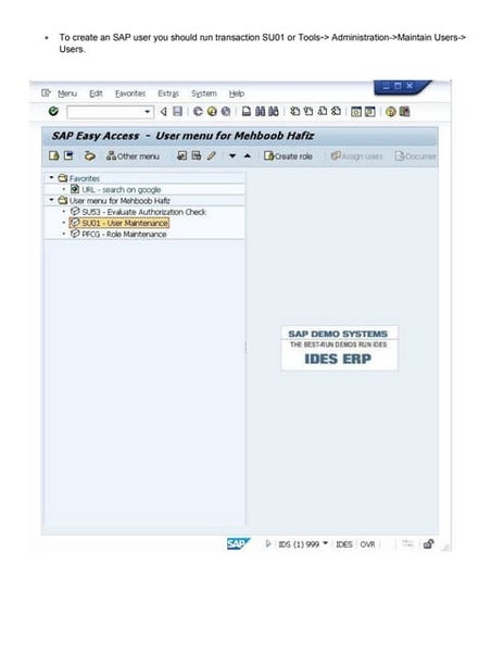 Introduction On Sap Security