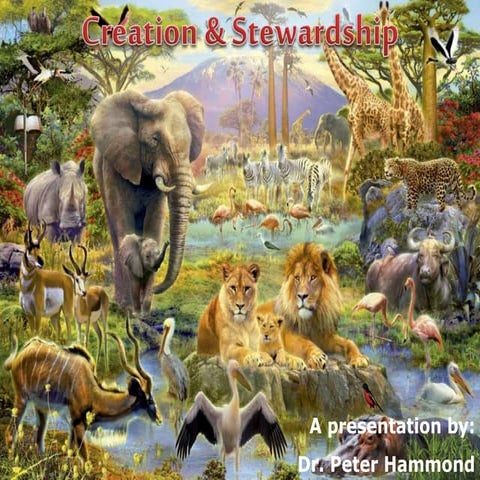 Creation and Stewardship | PPTX