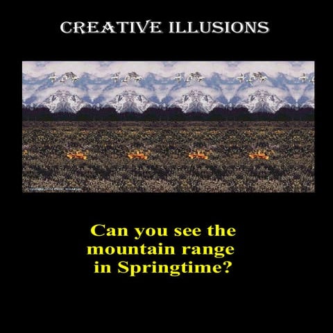 Creative Illusions | PPS