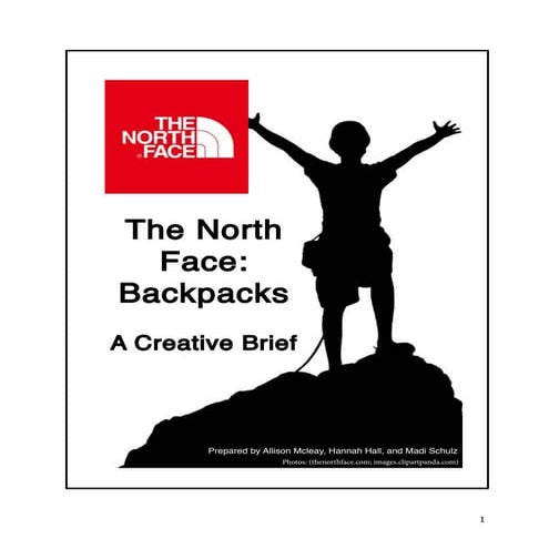 Brand Analysis: The North Face | PDF