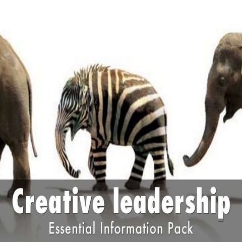 Creative leadership essential information pack | PPTX