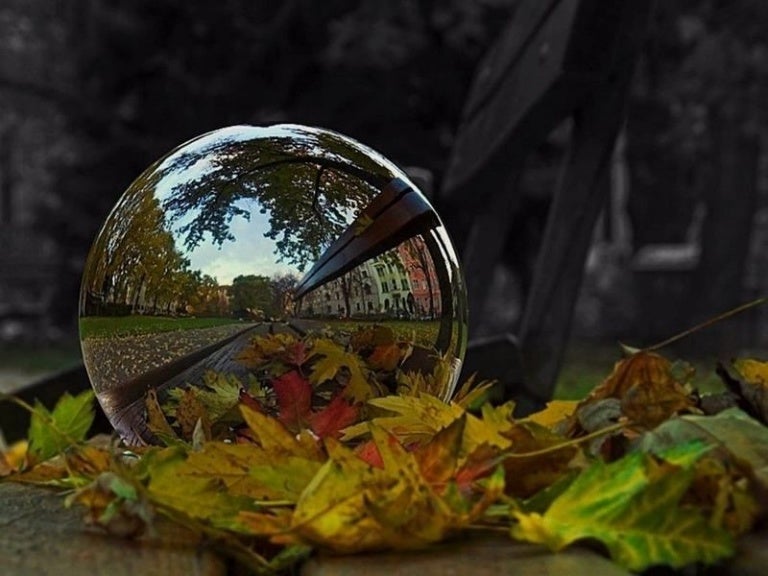 creative-nature