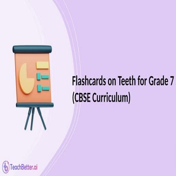 Creative Resource Generator-Comprehensive Flashcards on Human Teeth for ...