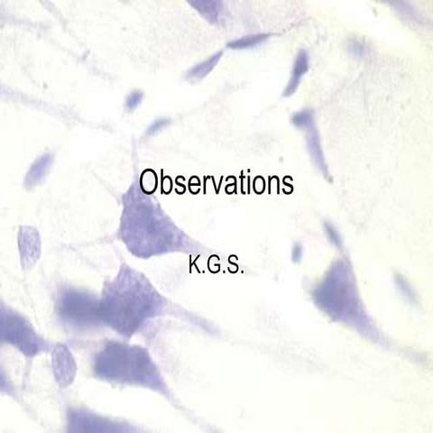 Observations: Key Learnings | PPTX