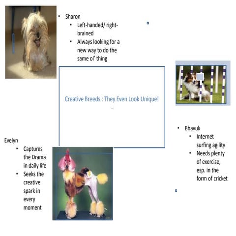 A study in contrast | PPTX