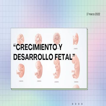 Desarrollo fetal de la semana 0 hasta la 40 de gestación | PDF