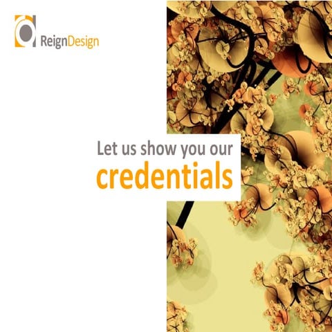 ReignDesign Credentials | PPT | Internet | Computing