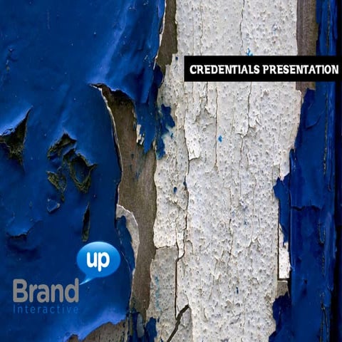 BrandUP Interactive Credentials.pdf