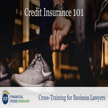 Credit Insurance 101 | PDF