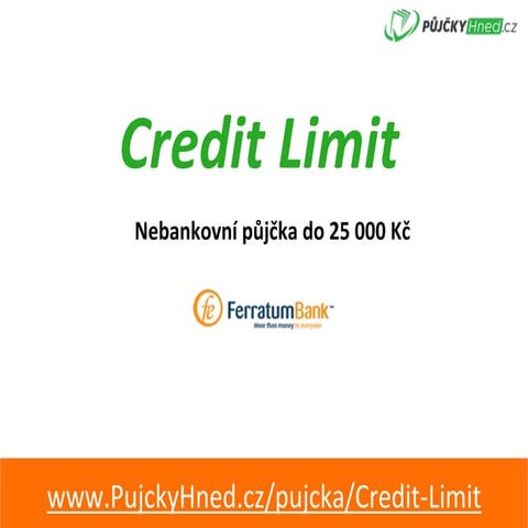 Credit limit | PDF