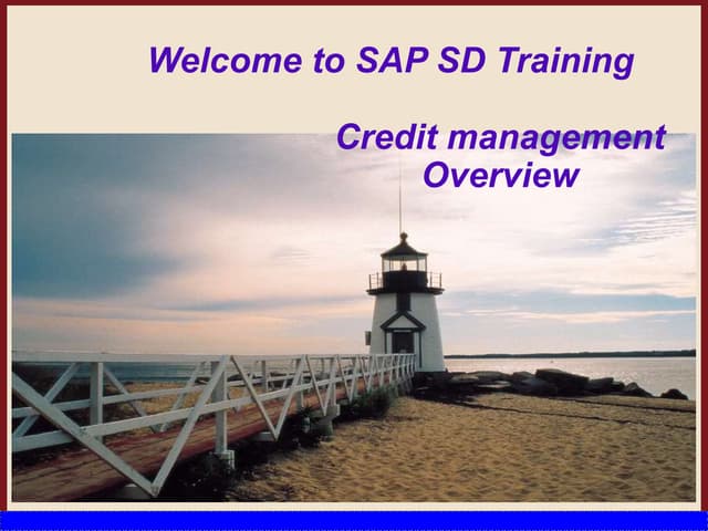 Credit Management Process step by step in SAP SD | PDF