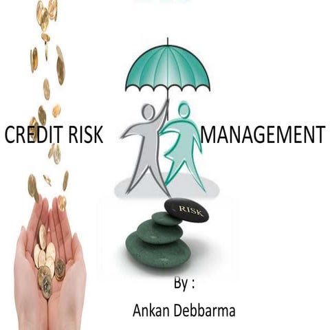 Credit Risk Management Presentation