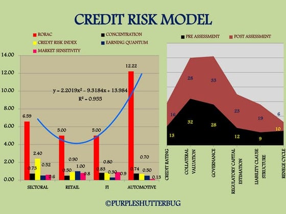 BAU RISK DASHBOARD | PPTX