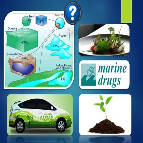 Blue Biotechnology | PPT