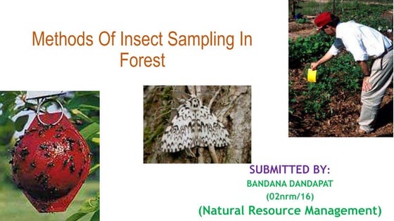 Different sampling techniques for insect population estimation | PDF