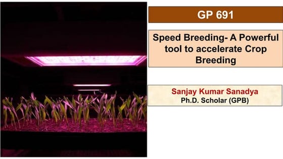 Speed breeding presentation | PPTX | Agriculture | Industries
