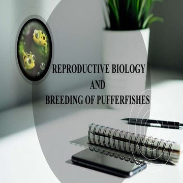 Reproductive biology and breeding of puffer fishs.pptx