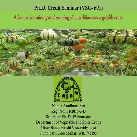 training and pruning methods of cucurbits | PPTX