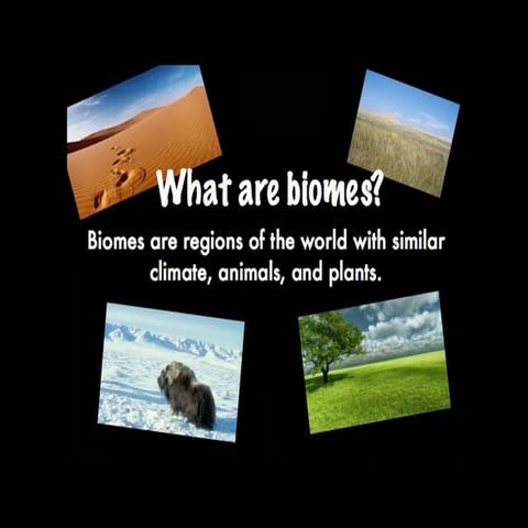 Piedmont: A NC Biome | ODP