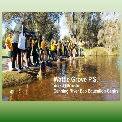 Native power point2 | PPTX