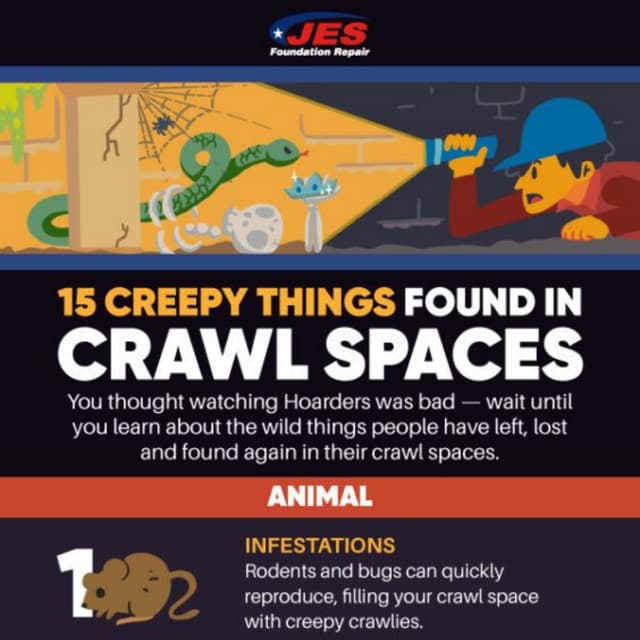 15 Creepy Things Found In Crawl Spaces | PDF