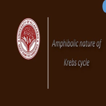 Amphibolic nature of kreb's cycle | PDF