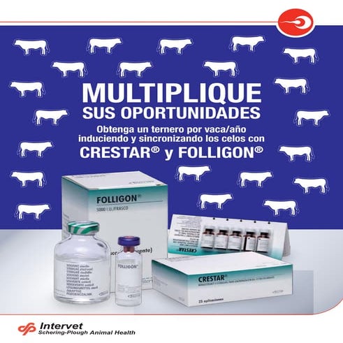 Juliste | PDF