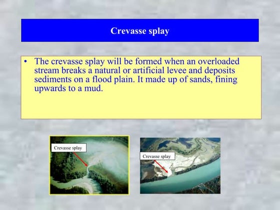 part marine environment.pptx only marginal marine environmrnts | PPT