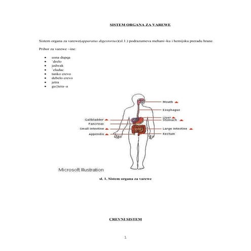 Crevni sistem coveka | DOC