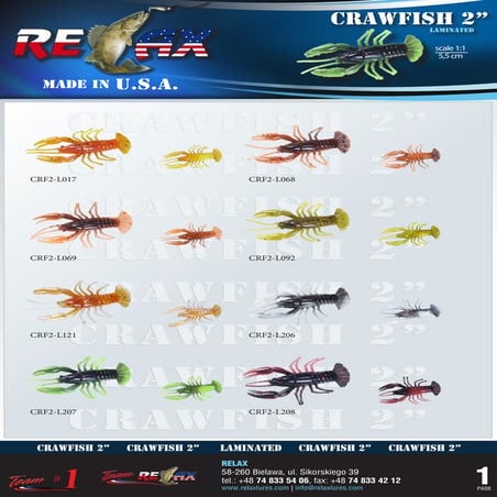 Crf2 l | PDF