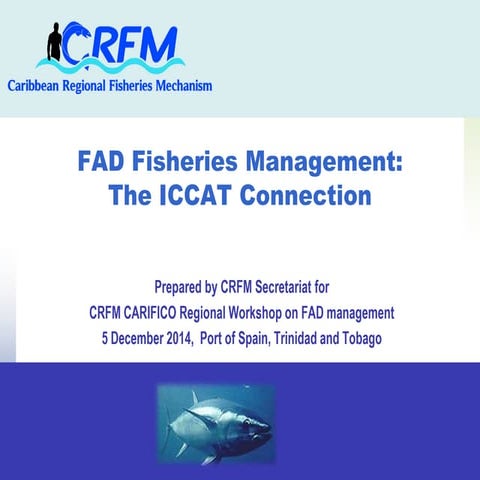 CRFM - FADs and the ICCAT connection | PDF | Fishing Sports | Sports