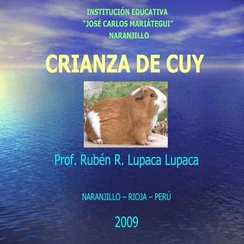 Crianza De Cuy | PPT