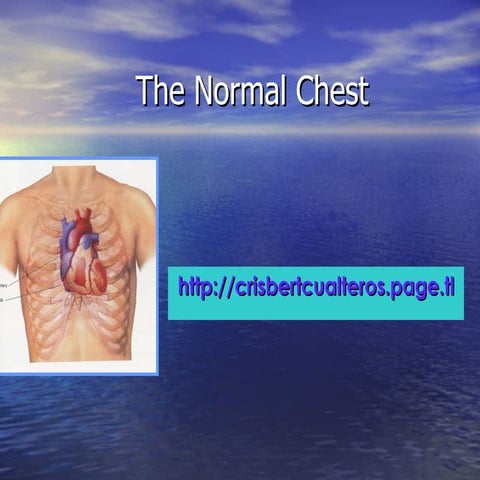 Surface Markings of Thorax.pptx