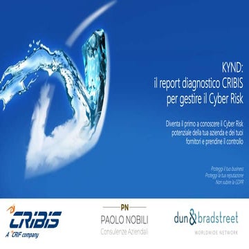 Cribis Cyber Risk | PPTX