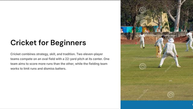 CRICKET PRESENTATION.pptx