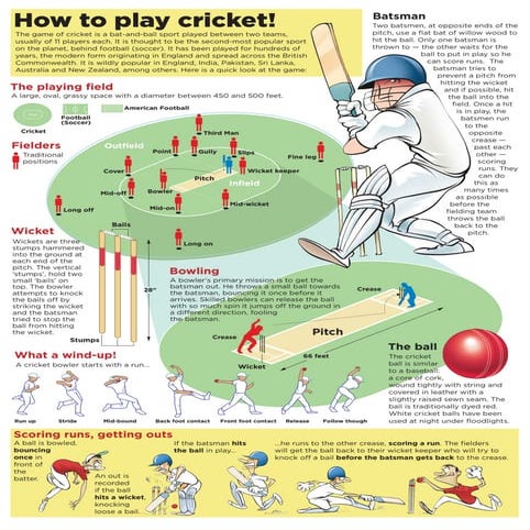 Cricket101 | PDF