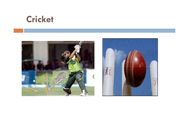 CRICKET PRESENTATION.pptx