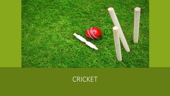 cricket ppt | PPTX | Cricket | Sports