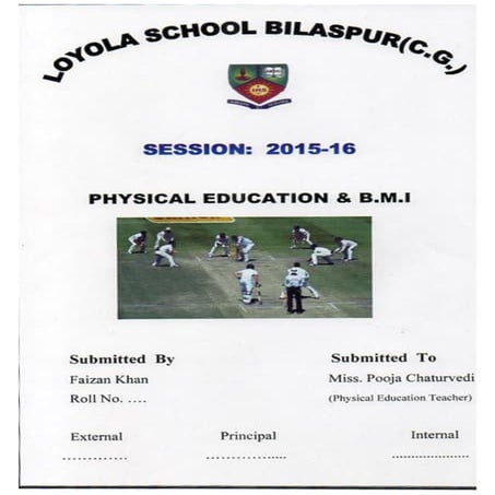 Cricket Report | PDF