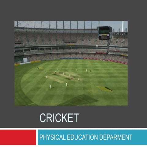 Cricket Visual Information 2º ESO Secciones | PPTX