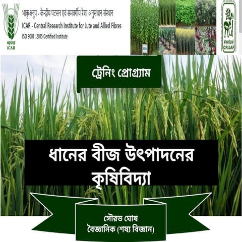 CRIJAF FARMERS TRAINING_RICE production_1.pptx