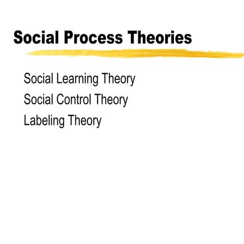 Social Process Theories | PPT