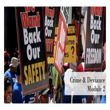 Crime and Deviance.powerpoint for school | PPTX