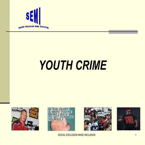 Youth Crime Reduction | PPT