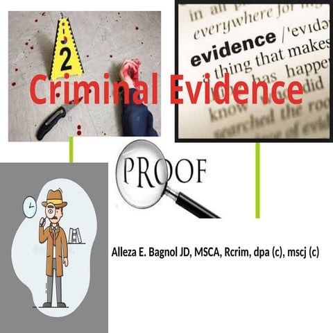 Criminal-Evidence-Integrated-Review.pptx