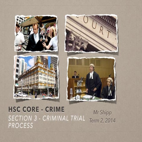 Criminal Trial Process | PDF